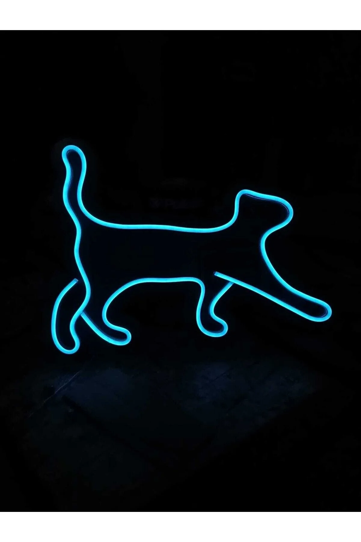 Kedi Neon Led Işıklı Tablo v3